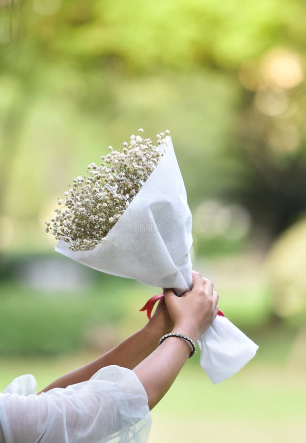 Flower Bouquet in Hand Give Flowers Fotografia Stock - Immagine di ...