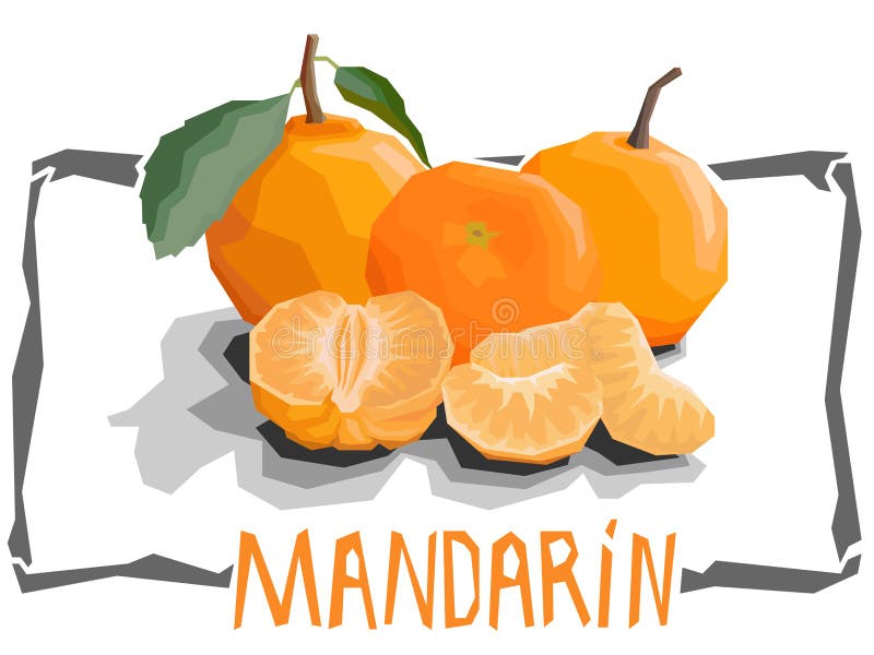 Vector Simple Illustration of Mandarins. Vector Illustratie ...