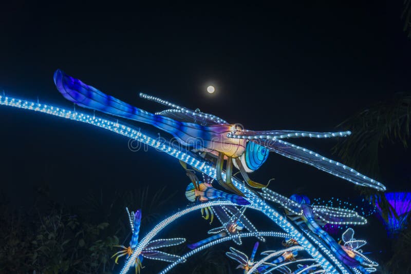 Night Time Shot of Singapore Stock Foto - Image of hangen, giraf: 106559256