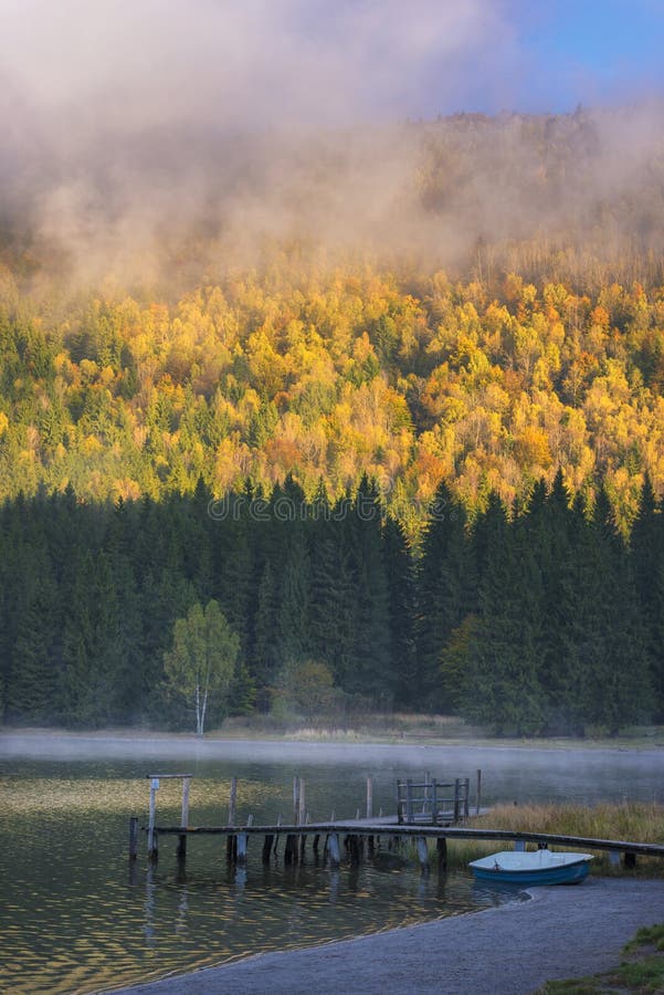 Beautiful Cold Morning In Nature Stock Afbeelding - Afbeelding ...