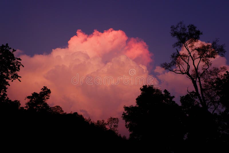 Trees and Storm Clouds Background - Heavy Dark Storm Clouds Over a ...