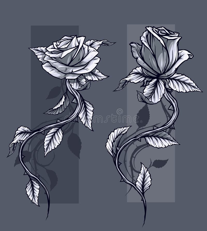 Graphic Detailed Graphic Roses with Stem Set Vector Illustratie ...