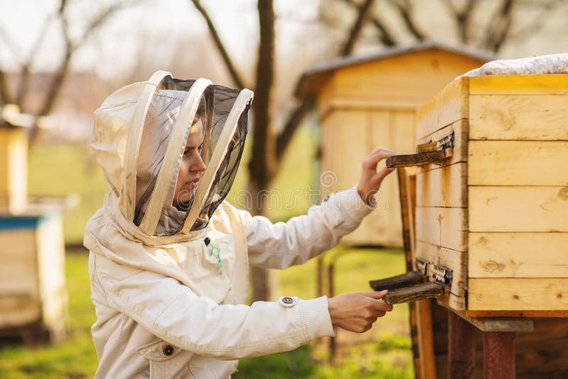 A Young Beekeeper Girl is Working with Bees and Beehives on the Apiary ...