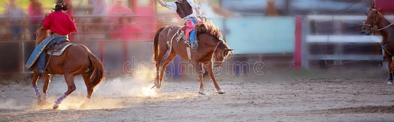 Cowboy Rides a Bucking Horse in Rodeo Event Stockbild - Bild von ...