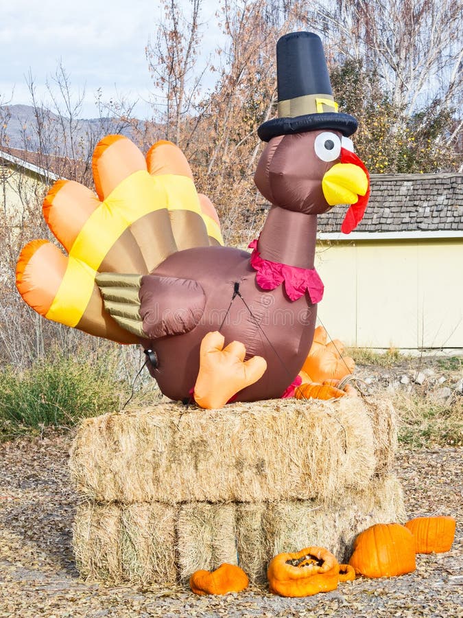 Big inflatable turkey стоковое фото. изображение насчитывающей муха ...