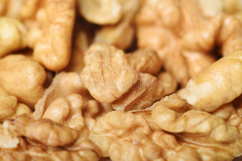 Gheriglio Di Qualità Superiore Immagine Stock - Immagine di ...