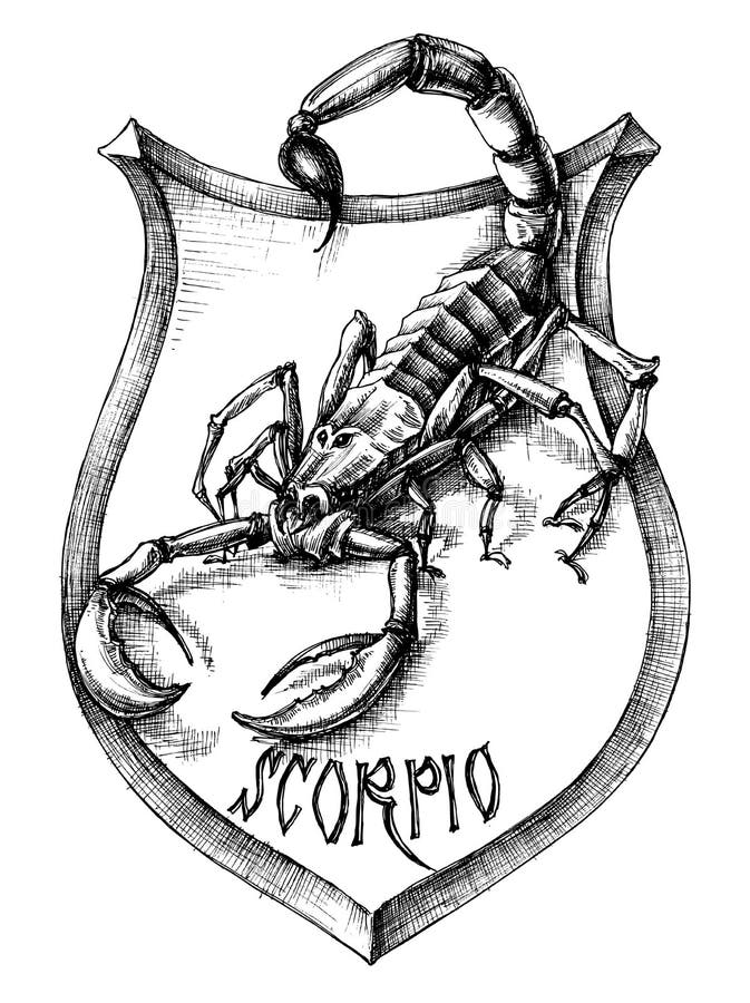 Scorpio drawing ilustração do vetor. Ilustração de projeto - 51080751