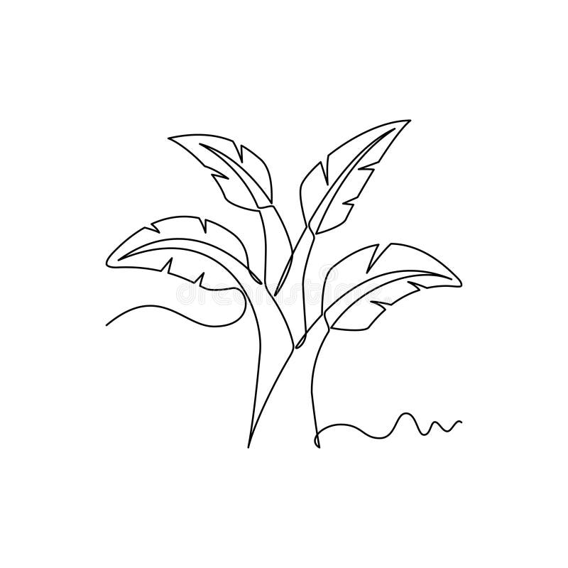 One Line Art Banana Tree Vector Illustration Stock Vector ...