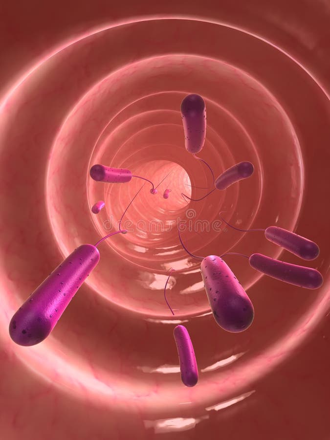 E. Coli Bacteria Infection Vector Icon Stock Vector - Illustration of ... E. Coli Bacteria Infection Vector Icon Stock Vector - Illustration of ...
