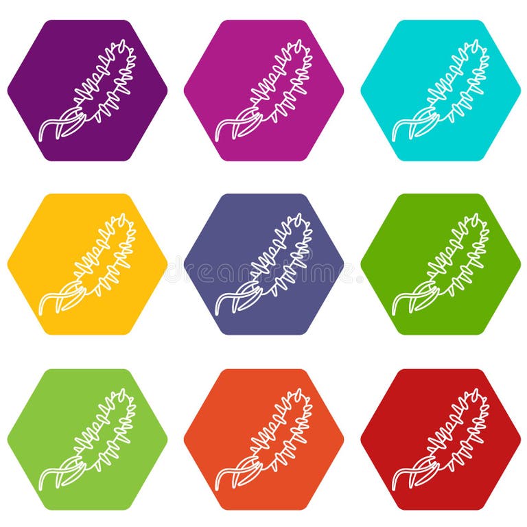 E Coli Bacteria Icons Set 9 Vector Stock Vector - Illustration of line ...