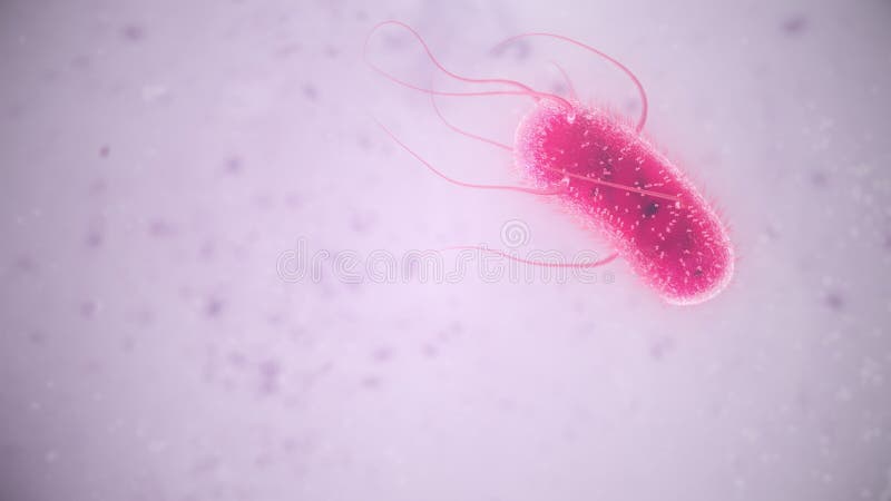E Coli Bacteria in Motion 3D Animation. Stock Footage - Video of gram ...