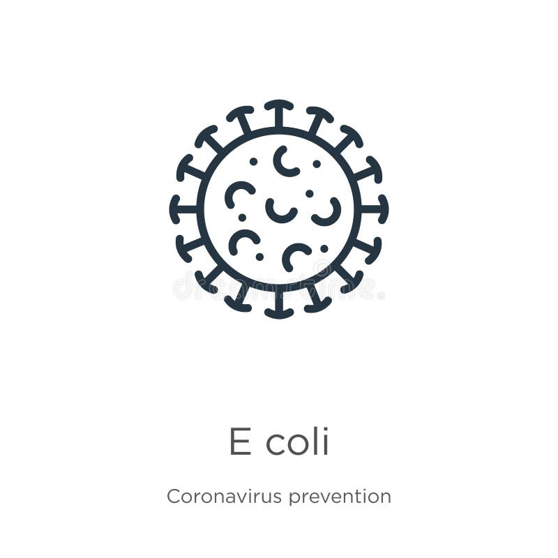 E. Coli Bacteria Infection Line Icon Stock Vector - Illustration of ... E. Coli Bacteria Infection Line Icon Stock Vector - Illustration of ...