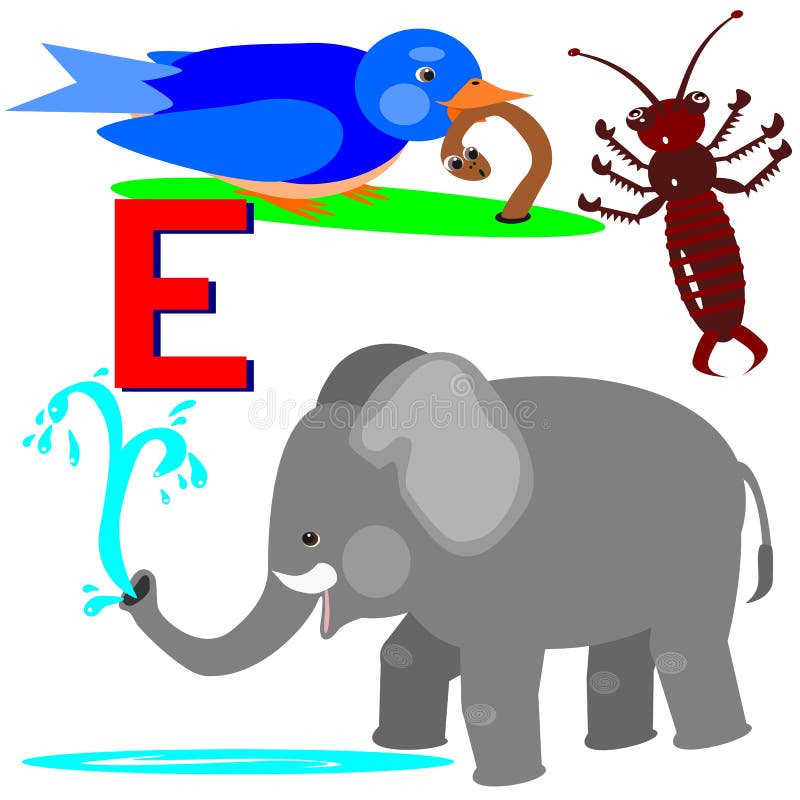 Earwig Stock Illustrations – 1,609 Earwig Stock Illustrations, Vectors ...