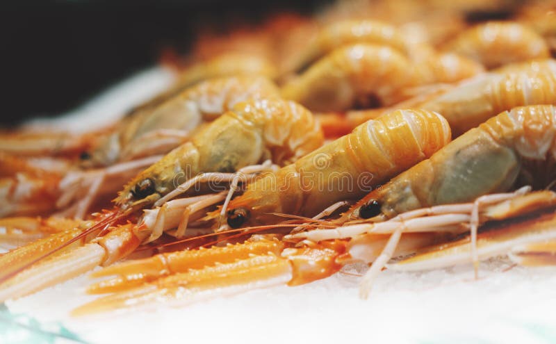 Dei crostacei fresco fotografia stock. Immagine di fresco - 23123688