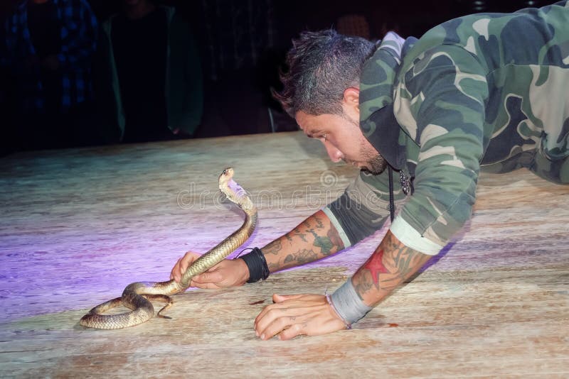 Hombre Con Una Serpiente De La Cobra Foto de archivo editorial - Imagen ...