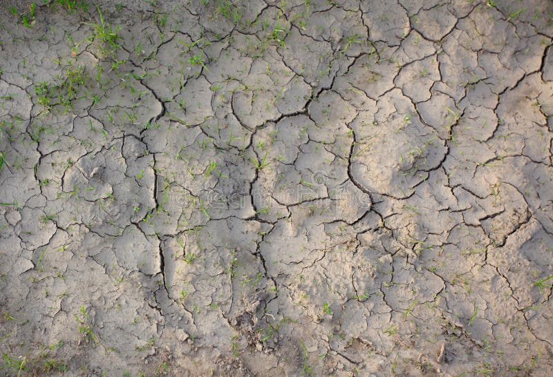 Una tierra de pasto imagen de archivo. Imagen de pista - 219400637