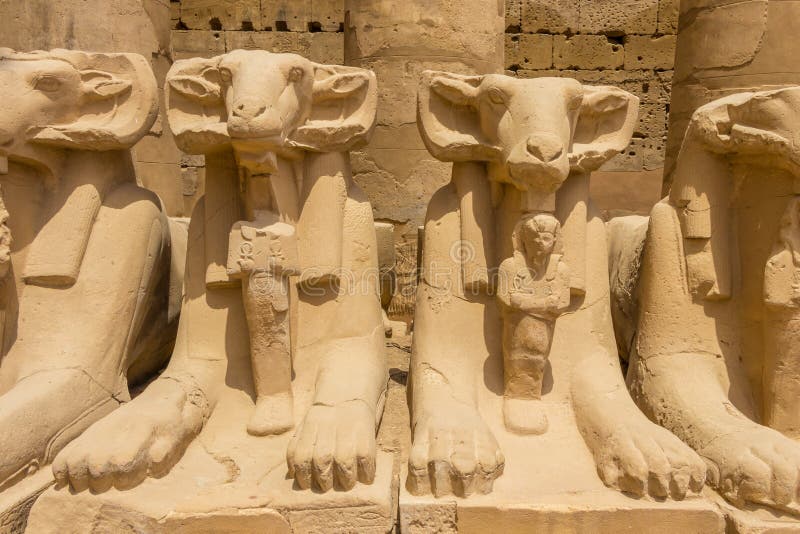 Criosphinxes - Las Cabras Dirigieron Esfinges En La Ciudad Antigua De ...