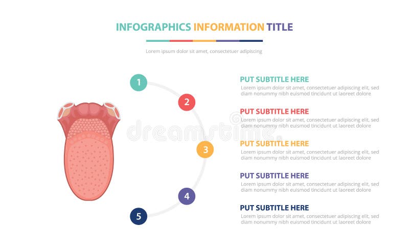 Diagramme De L'anatomie De La Langue Humaine Illustration de Vecteur ...
