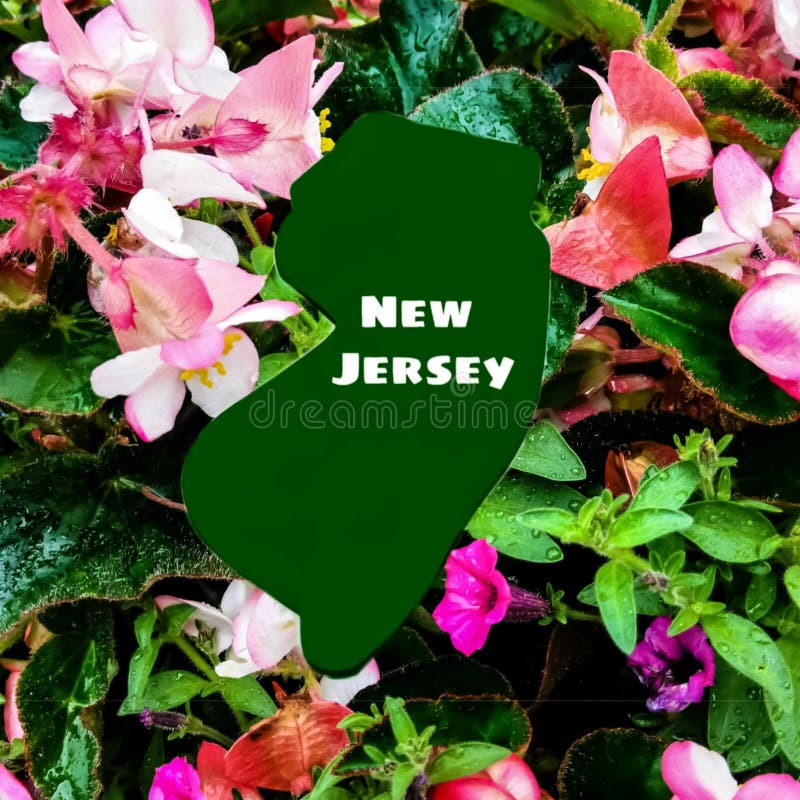 New Jersey State Logo in a Garden, New Jersey is the Garden State ...