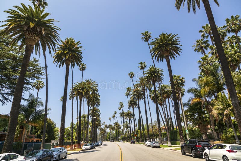 Beverly Drive Sign image stock. Image du beverly, lecteur - 103112287