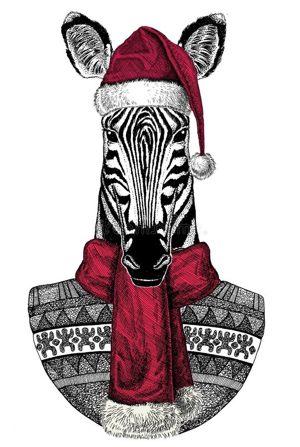Portrait of Zebra Wearing Chrismtas Santa Claus Hat 库存例证 - 插画 包括有 象征 ...