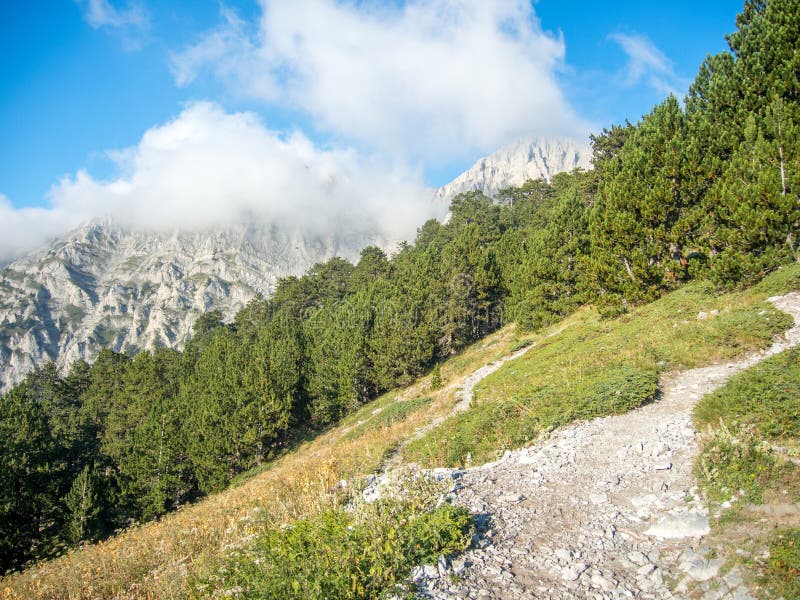 E4 Trail Path Olympus National Park Greece Stock Image - Image of ...