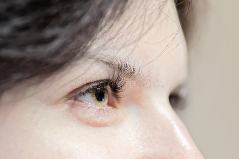 Side View of Woman Eye with Long Eyelashes Stock Image - Image of ...