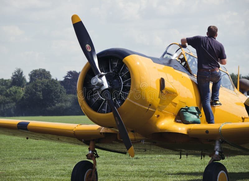 E voou imagem de stock editorial. Imagem de plano, mosca - 116124794