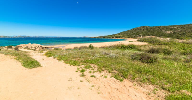 Ea Bianca Beach on a a Sunny Day Stock Photo - Image of clear, nature ...
