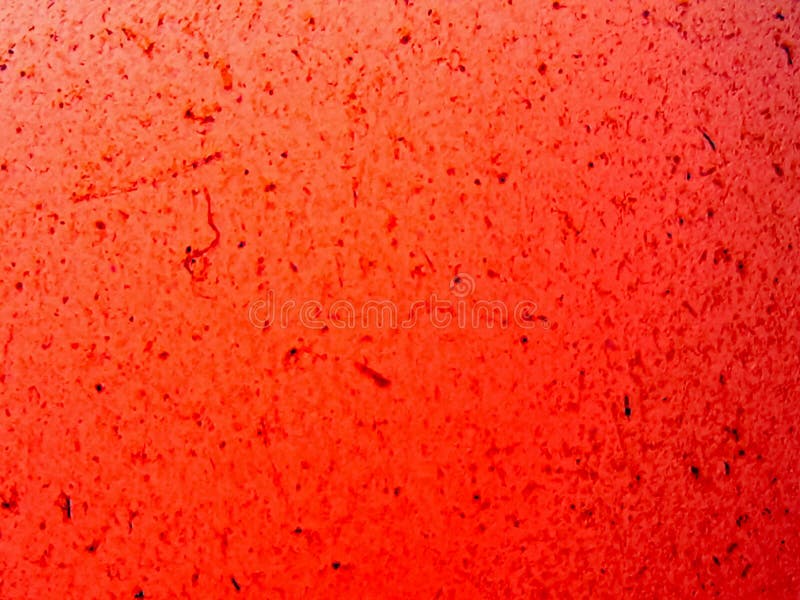 Under the Lens of the Microscope, a Fascinating World Unfolds ... Under the Lens of the Microscope, a Fascinating World Unfolds ...