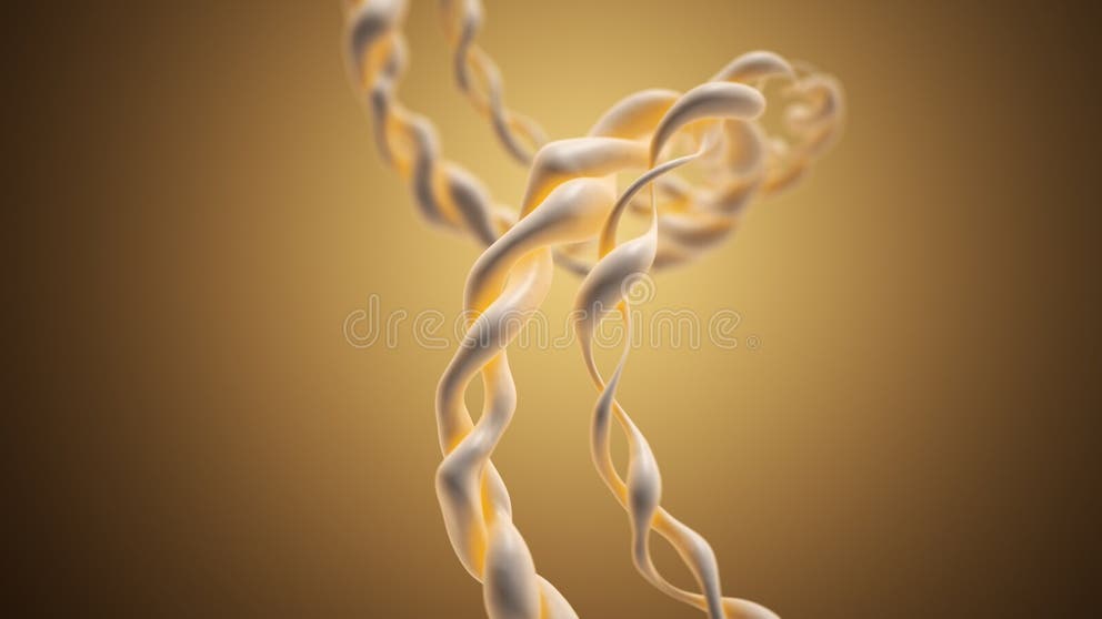 Double Helix Structure of the DNA Strand Stock Illustration ...