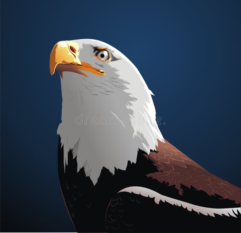 Sharp Eagle Bird Eye Stock Illustrations – 4,216 Sharp Eagle Bird Eye ...