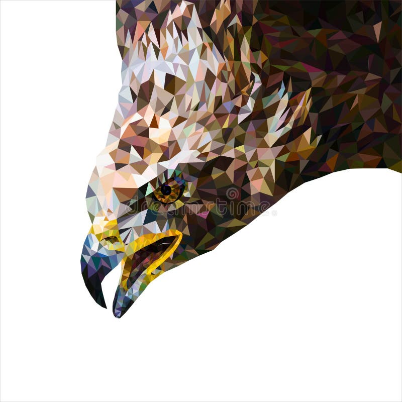 Low Poly Illustrations of the Golden Eagle. Stock Vector - Illustration ...