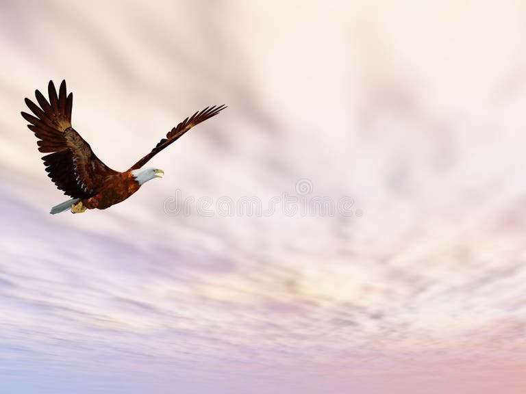 Pink Eagle Stock Illustrations – 3,944 Pink Eagle Stock Illustrations ...