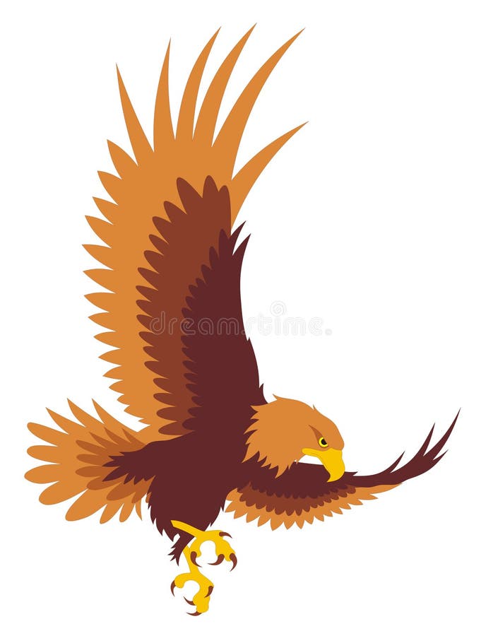 Bald Eagle Fly Color Vector. Stock Vector - Illustration of bird ...