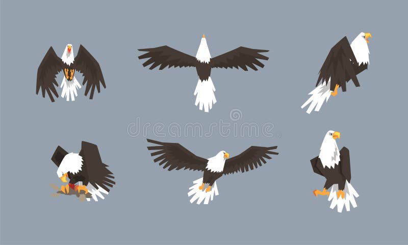 Eagle As Large Bird of Prey with Beak and Broad Black Wings in ...