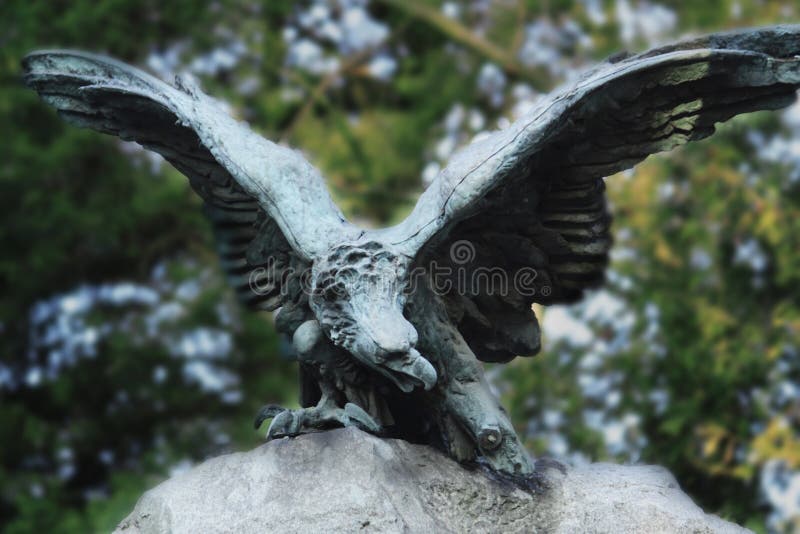 The power eagle in horror stock image. Image of companie - 150246751