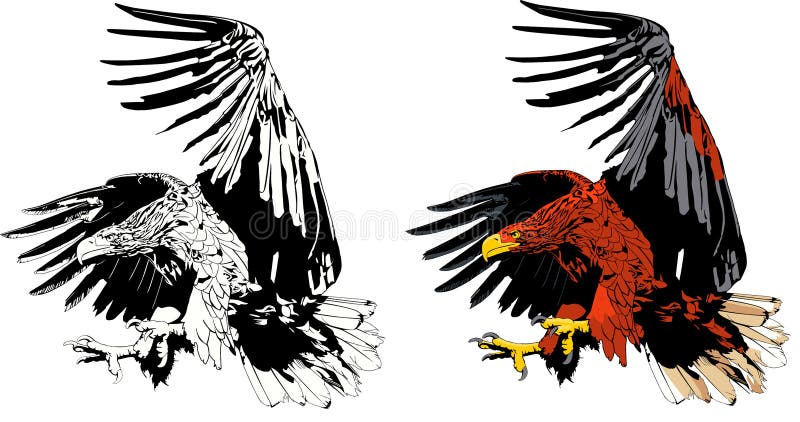 Eagle attack stock vector. Illustration of clipart, emblem - 28793878