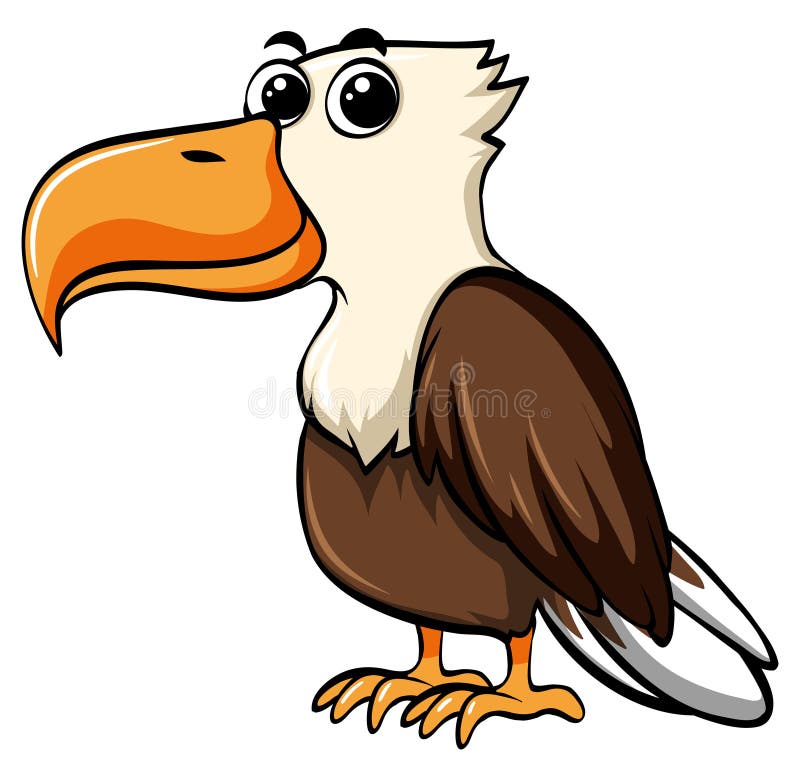 Eagle bird with happy face stock vector. Illustration of tropical ...