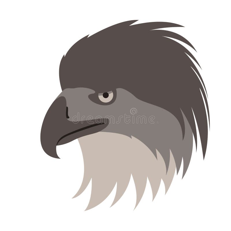 Eagle Bird Head, Vector Illustration,flat Style Stock Vector ...