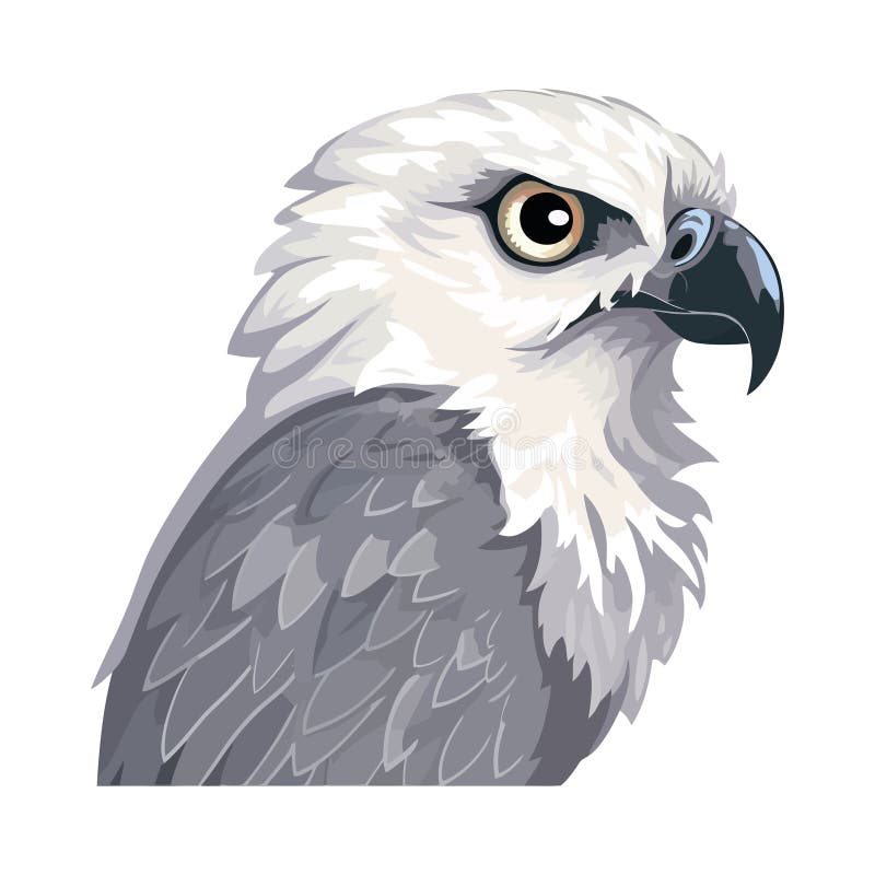 Eagle bird predator icon stock vector. Illustration of wings - 289967698