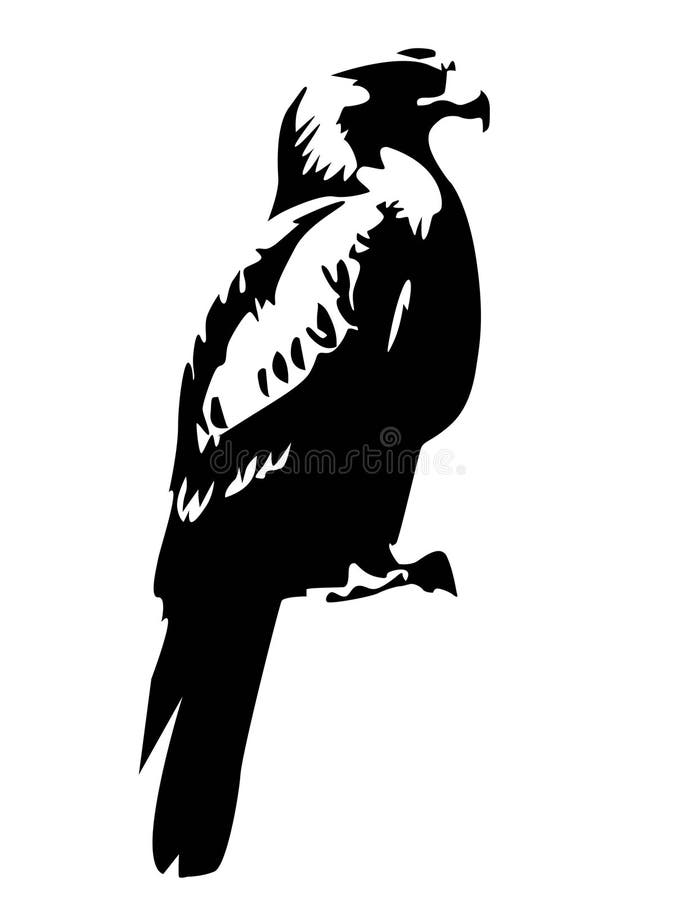 Eagle Isolated White Vector Stock Illustrations – 35,613 Eagle Isolated ...