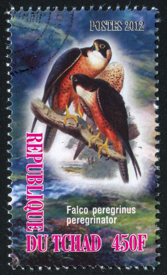 Eagle editorial photography. Image of postcard, feather - 334216522