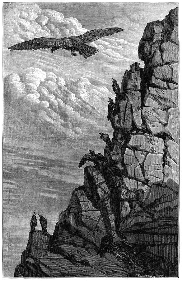 The Eagle And The Crow Picture. Image: 92134979