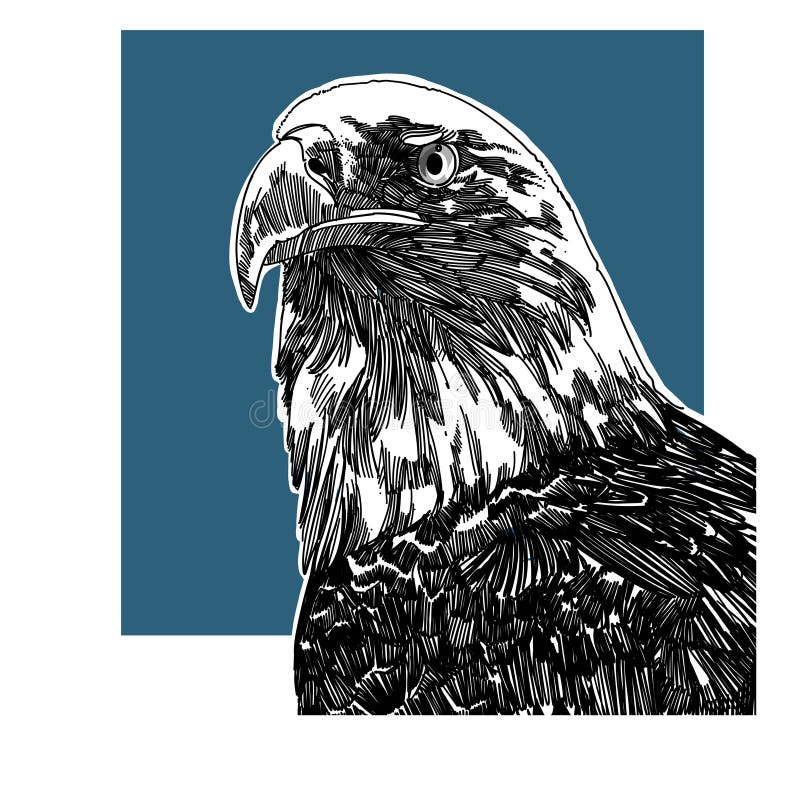 The Eagle Drawing in a Vector Format Stock Vector - Illustration of ...