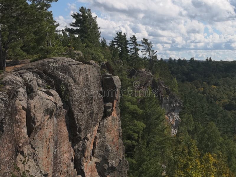 Eagle eye stock photo. Image of mountain, eagle, froest - 161827540