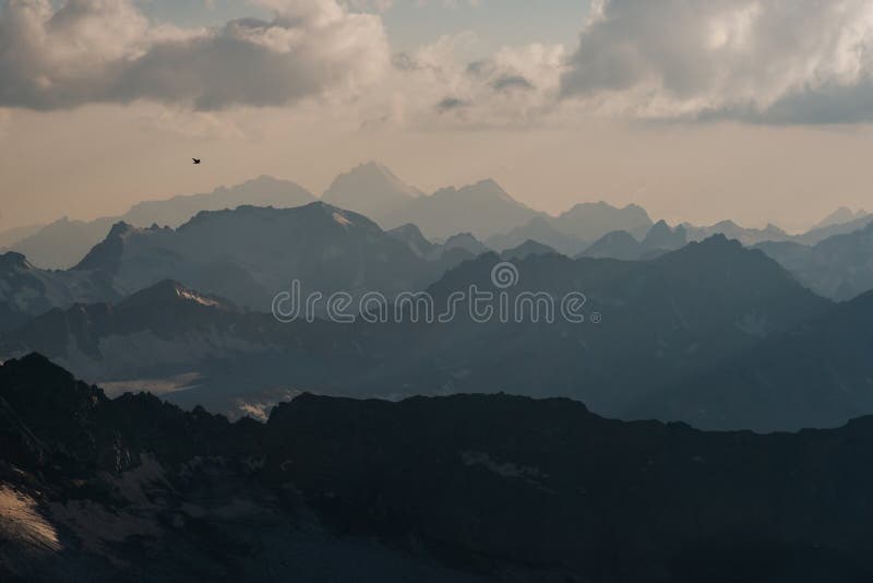 The Eagle Flies High in the Mountains Over the Sharp Rocky Peaks Stock ...