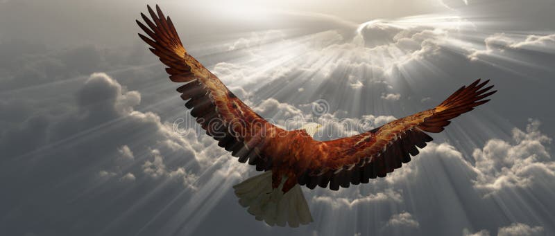Eagle In Flight Above Clouds Stock Illustration - Illustration of ... Eagle In Flight Above Clouds Stock Illustration - Illustration of ...