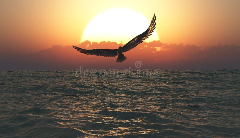 Eagle Soaring stock illustration. Illustration of bird - 1342261