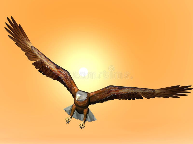 Eagle Rise Stock Illustrations – 163 Eagle Rise Stock Illustrations ...
